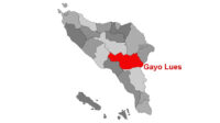 Kabupaten Gayo Lues: Sejarah, Budaya, Dan Perkembangannya Di Tanah Gayo ...