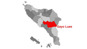 Kabupaten Gayo Lues: Sejarah, Budaya, Dan Perkembangannya Di Tanah Gayo ...